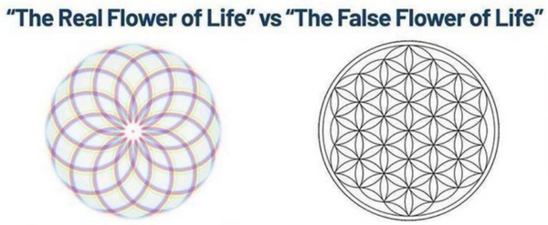 Lotus vs Flower of Life: Key Differences Explained